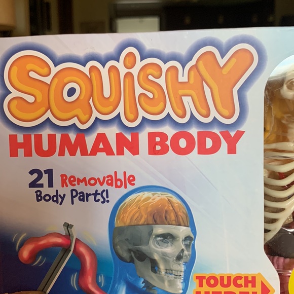 Smart Lab | Toys | Smart Lab Squishy Human Body With Removable Body ...